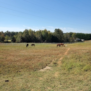 Our Facility, Winston-Salem, NC | Stay Awhile Stables