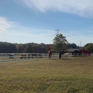 Our Facility, Winston-Salem, NC | Stay Awhile Stables