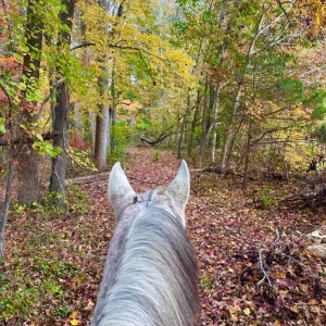 Our Facility, Winston-Salem, NC | Stay Awhile Stables